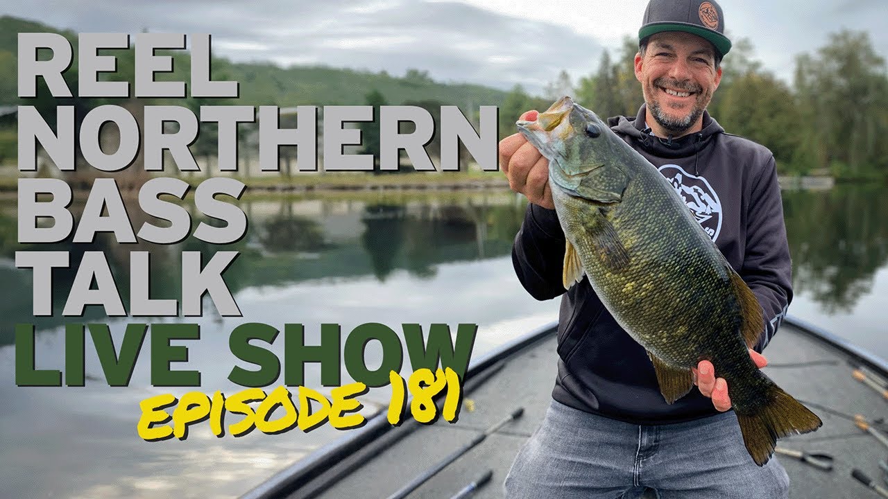 Unlock The Pattern - Reel Northern Bass Talk Livestream - YouTube