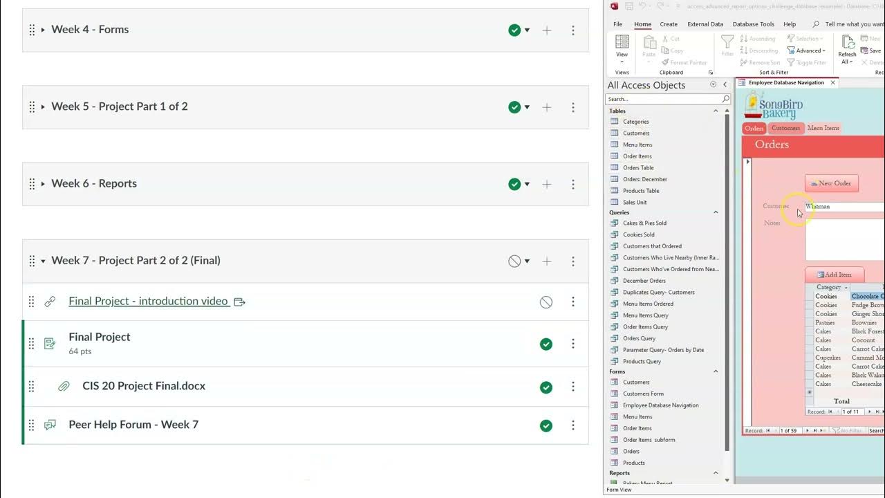 Microsoft Access - Week 7 - Final Project - Introduction Video - YouTube