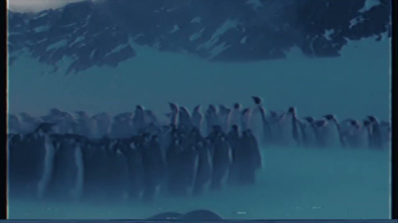 aphex twin - stone in focus lo-fi (music video) - YouTube Music