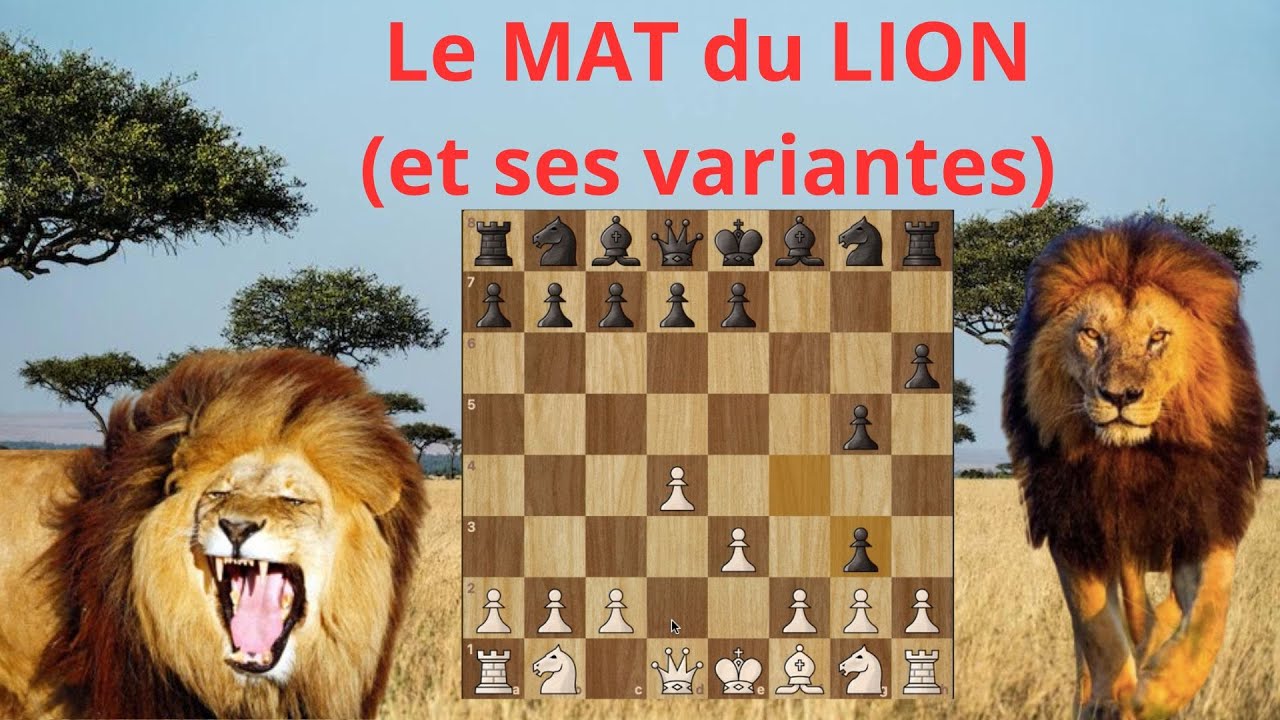 PUNIR les imprudents avec le MAT du LION aux échecs ! - YouTube