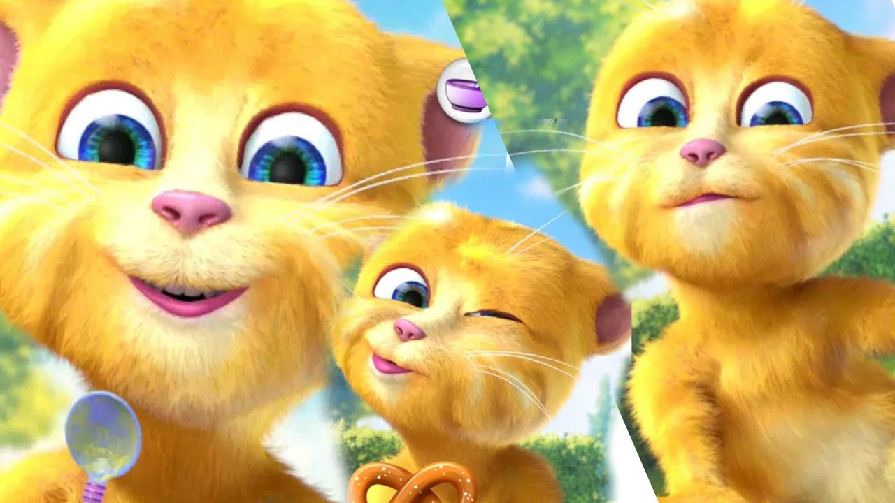Talking Ginger funny laughing 🍋🍌🍊🍑🍉talking ginger tom🍓🍓talking ginger ...