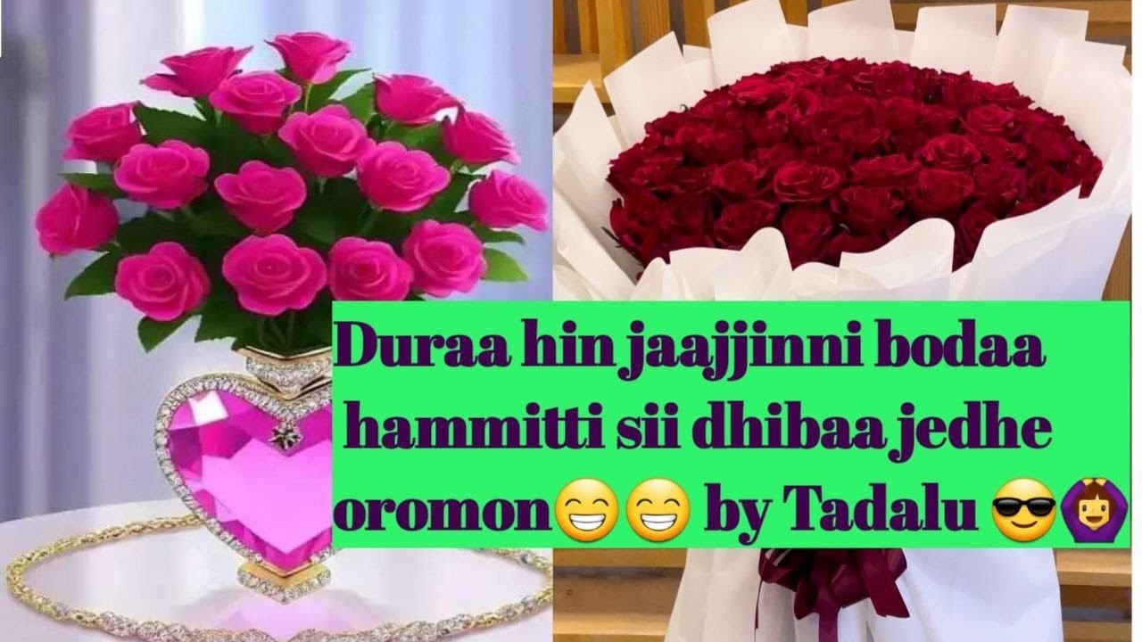 Duraa hin jaajjinni bodaa hammitti sii dhibaa jedhe oromon😁😁 by Tadalu ...