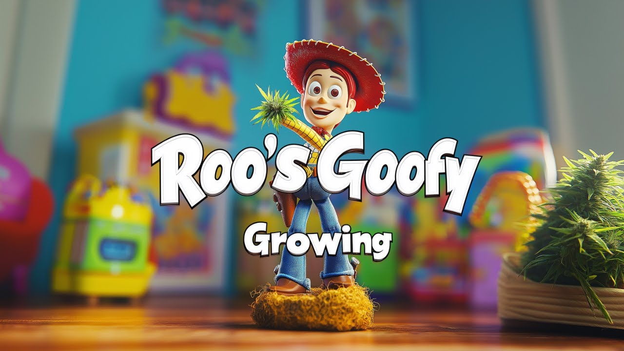 El Goofy Grow Along #21 - YouTube