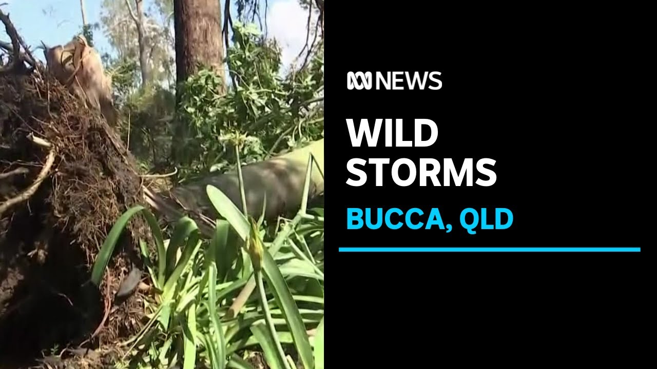 BOM investigating whether QLD storm may have been a tornado | ABC News ...