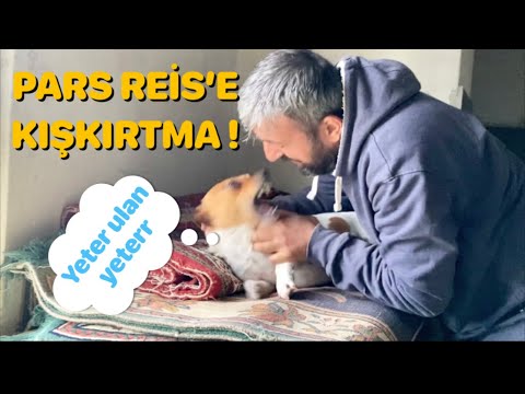PARS REİS’E KIŞKIRTMA