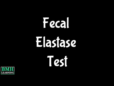 Fecal Elastase Test | Stool Elastase Test | Pancreatic Exocrine ...