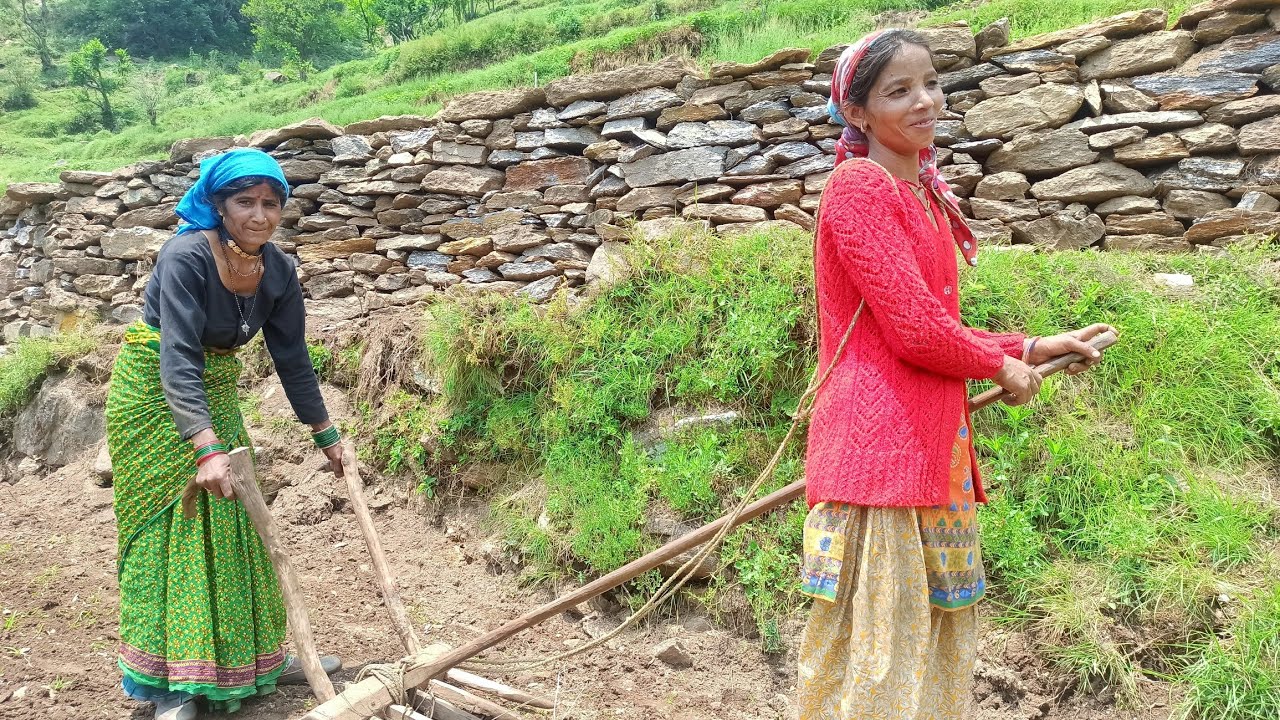 सीढ़ीदार पहाड़ी खेतों की गाड़ी "म्वइयां" || Pahadi Lifestyle Vlog ...