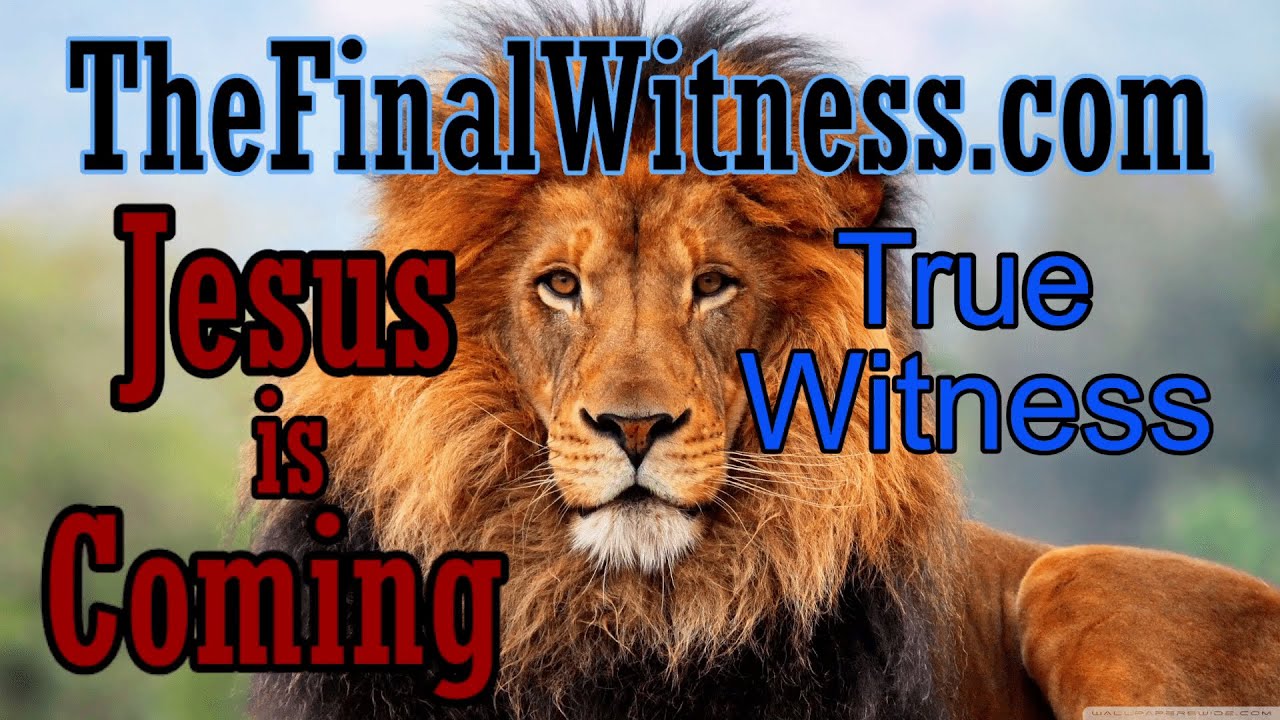 In All Your Getting ~ GET UNDERSTANDING - YouTube