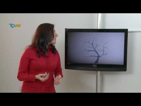 LİSE TÜRKÇE / DERS 15 / EYLEMLER - DİLEK KİPLERİ