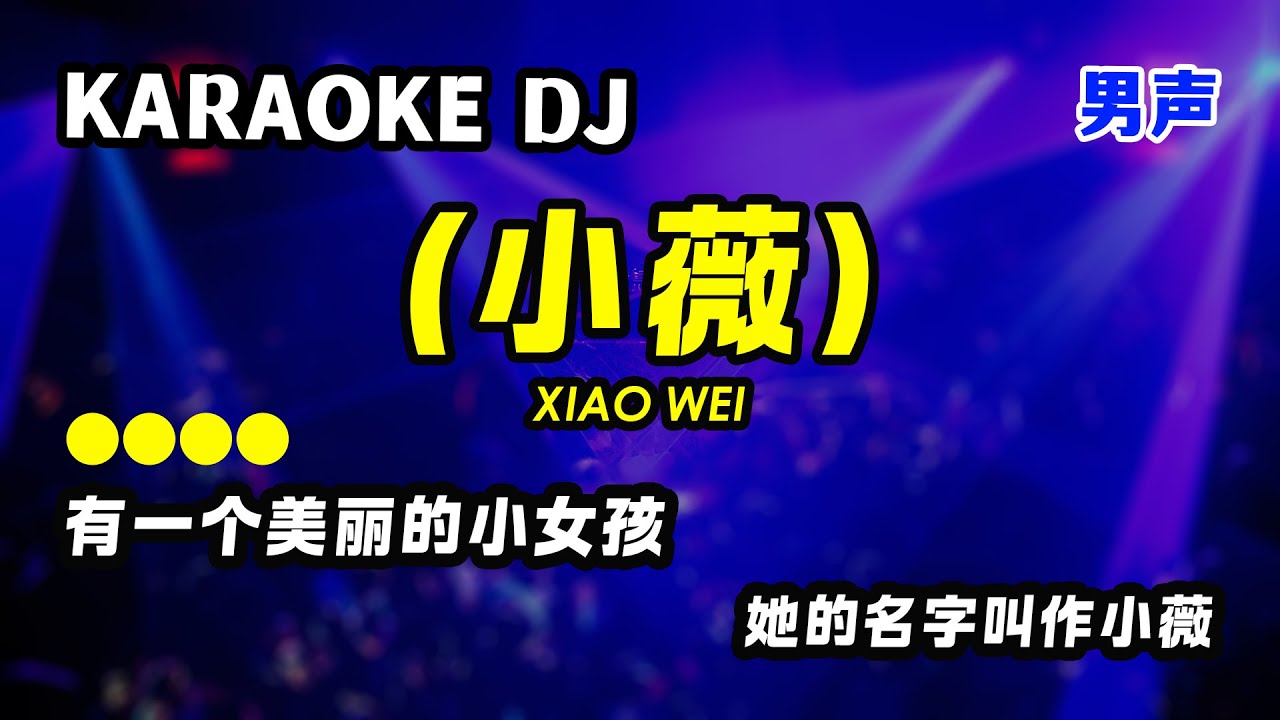 (Karaoke) 小薇dj - Xiao Wei - Dj小罗版 ProgHouse Remix KTV 卡拉ok - YouTube