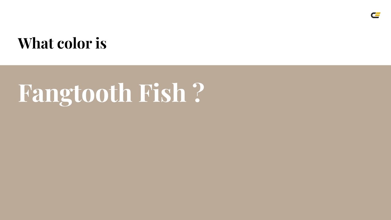 Fangtooth Fish color #bbaa97 hex color - Yellow color - Cool color ...