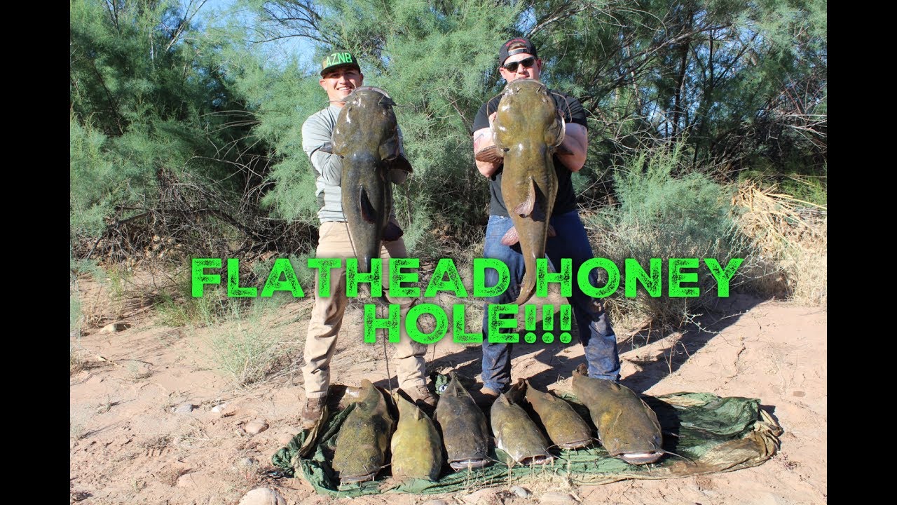 Monster AZ Flatheads!!! - YouTube