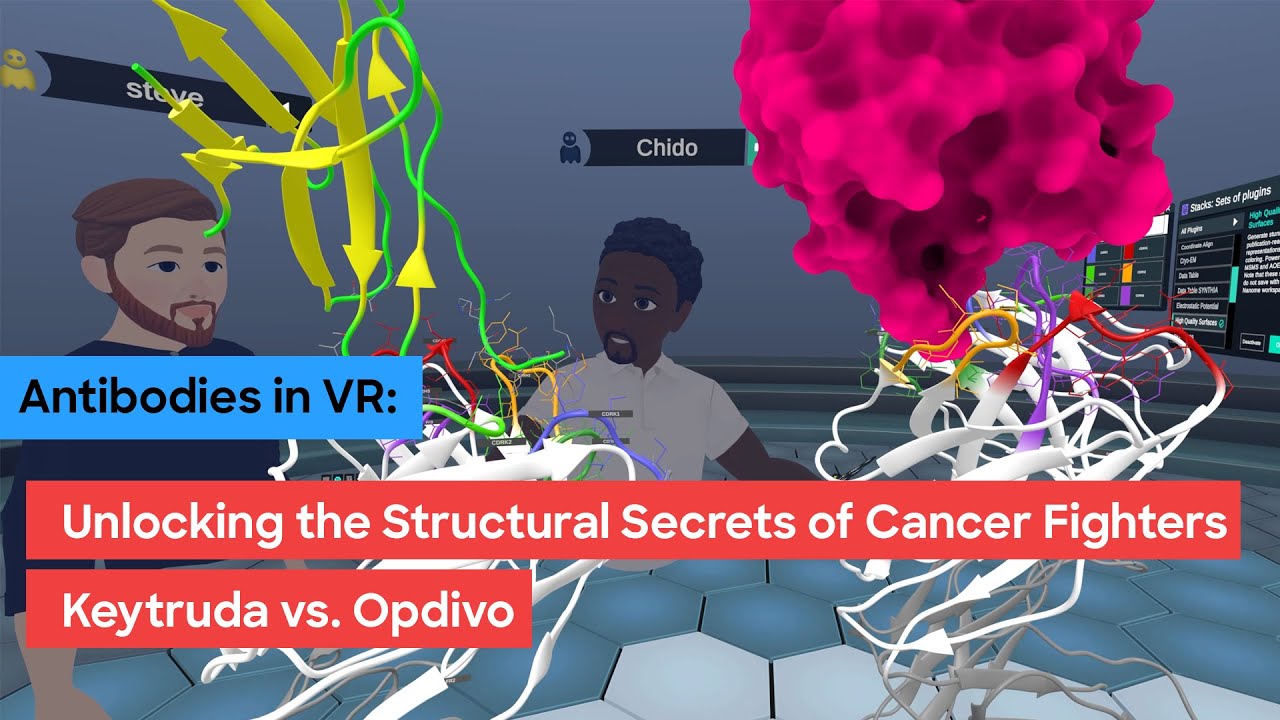 Antibodies in VR: Unlocking the Structural Secrets of Cancer Fighters ...