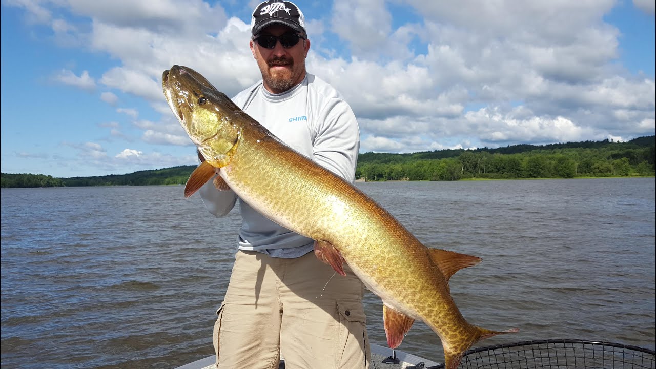 Musky fishing on the Ottawa River summer 2016 - YouTube