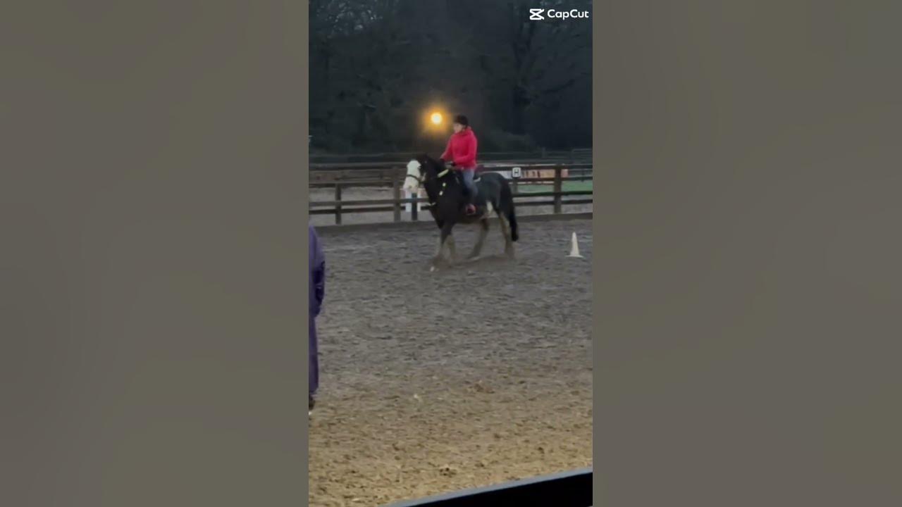 This is my 300th Video!#horse #equestrain #horsegirl #horserider #horseriding #horsegirlvibes # ...