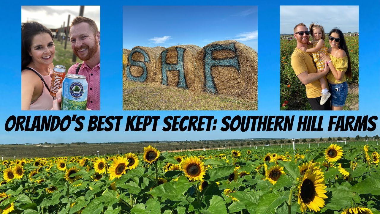 Orlando's Best Kept Secret--Southern Hill Farms! Where the locals go ...
