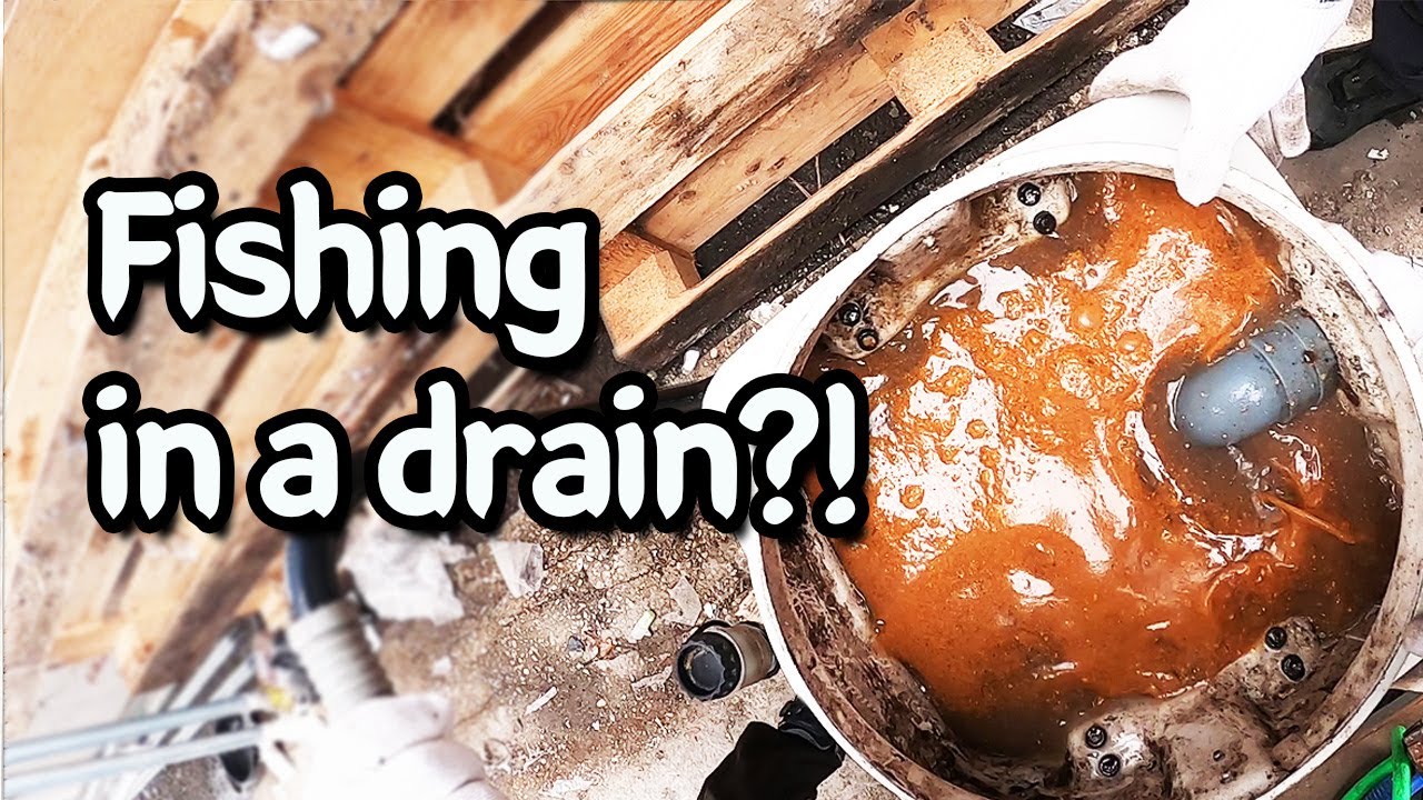 Go fishing to the drain? We got a big one! - YouTube