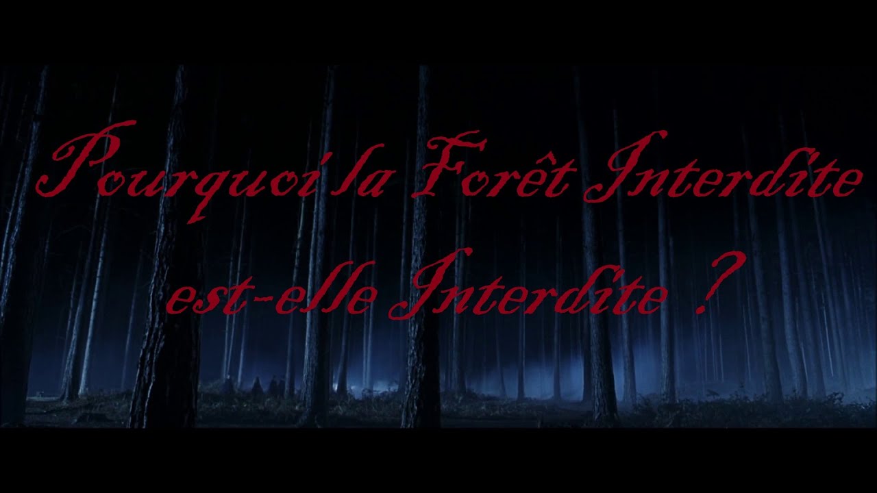 Pourquoi la Forêt Interdite est-elle Interdite ? - YouTube