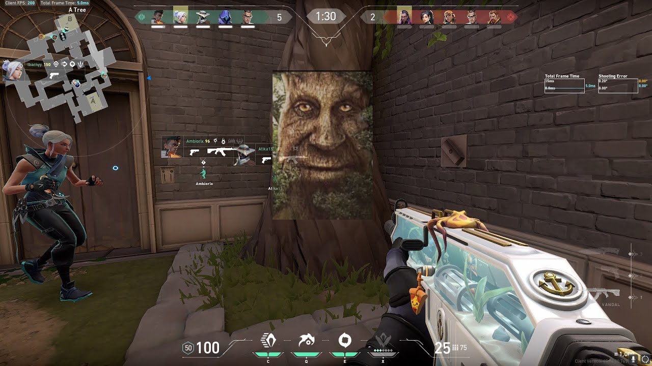 FINDING THE WISE MYSTICAL TREE IN VALORANT!??!??!?!? - YouTube