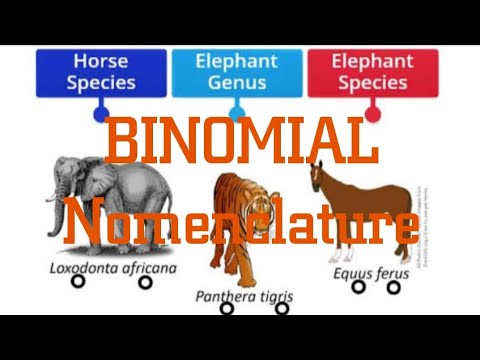 Diversity in the Living World/ Binomial Nomenclature/ Rules/ Principles ...