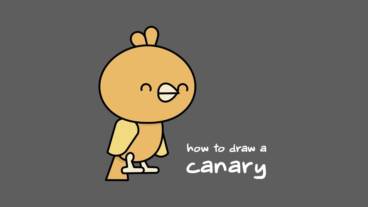 46. How to Draw a Canary Step by Step - YouTube