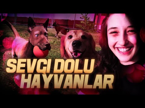 SEVGİ DOLU HAYVANLAR | ANIMAL SHELTER #2