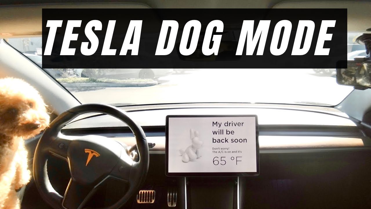 How Do You Turn On Tesla Dog Mode