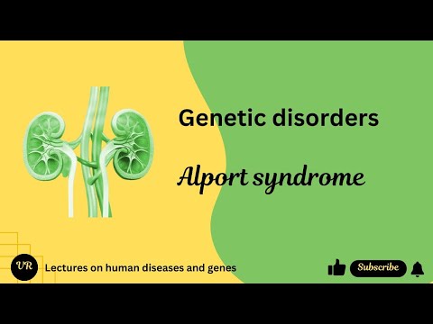 What is Alport syndrome?