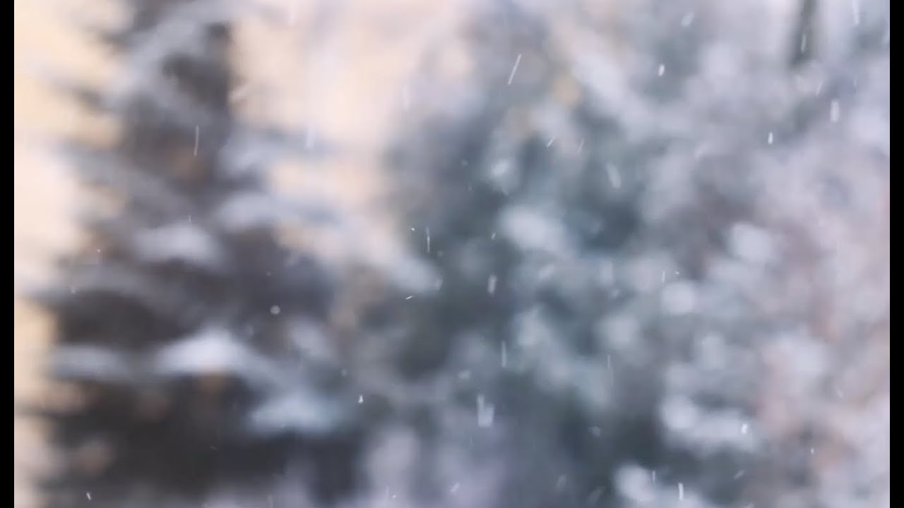 Peaceful Snow Falling In the Mountains - Snow Sounds In The Trees - YouTube