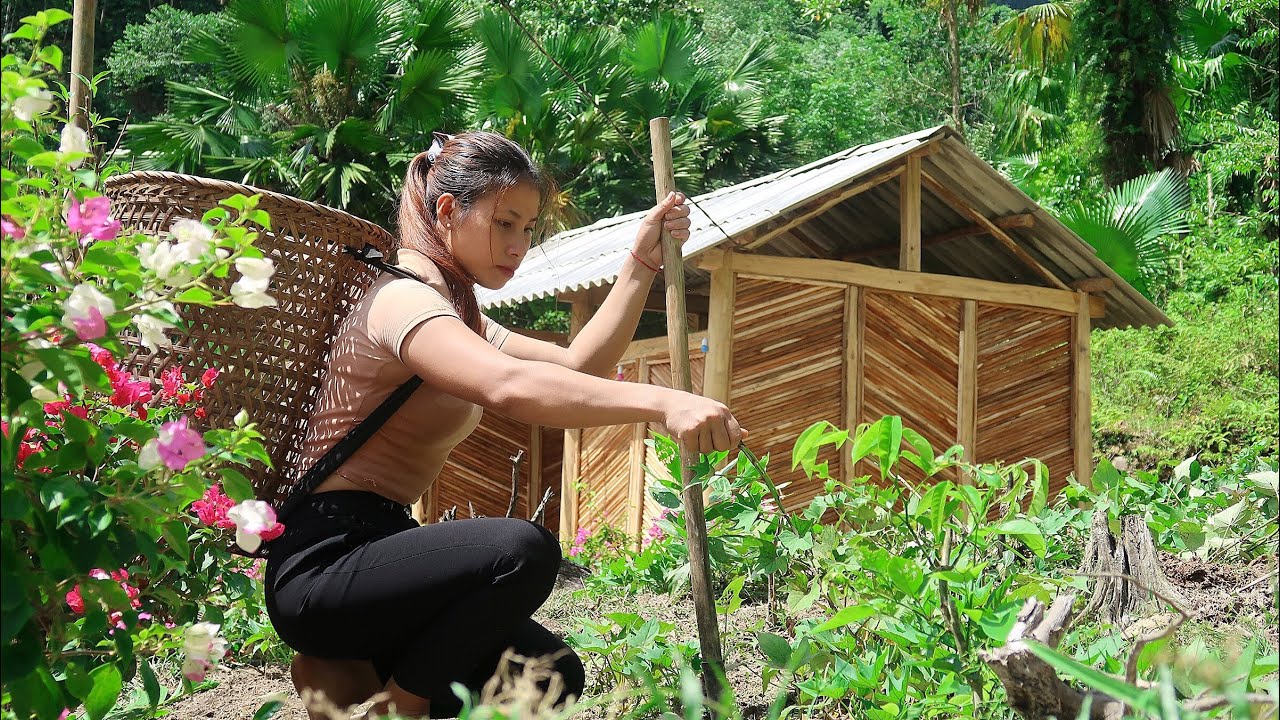 #93: How to build a farm and take care of some crops and animals on the ...