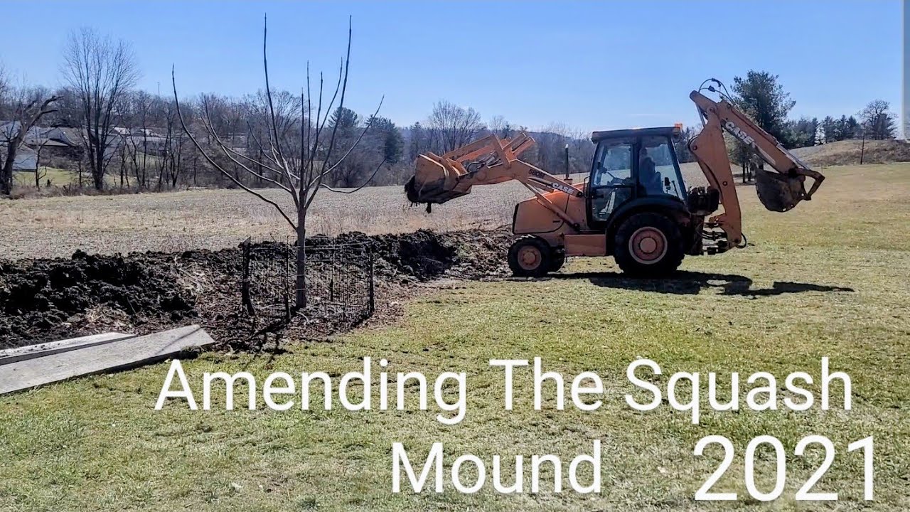 Amending The Squash Mound For a Bigger Harvest - YouTube