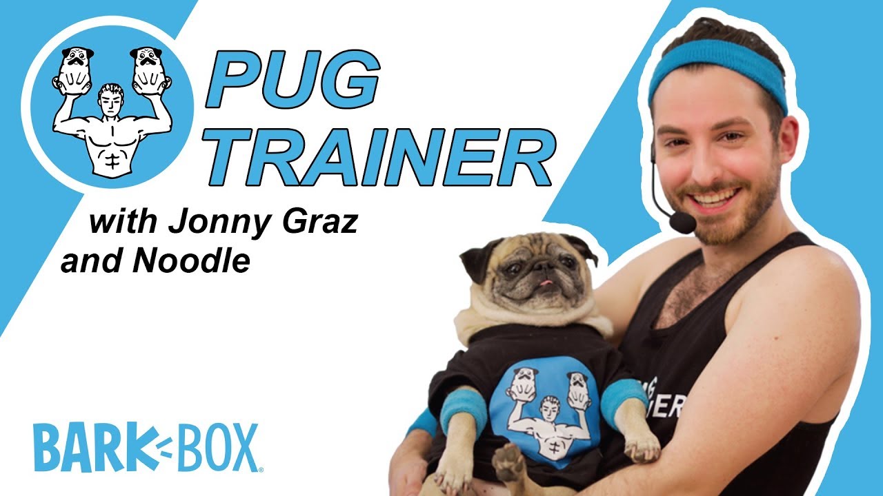 PUG TRAINER WORKOUT with JONNY GRAZ and NOODLE!!! - YouTube