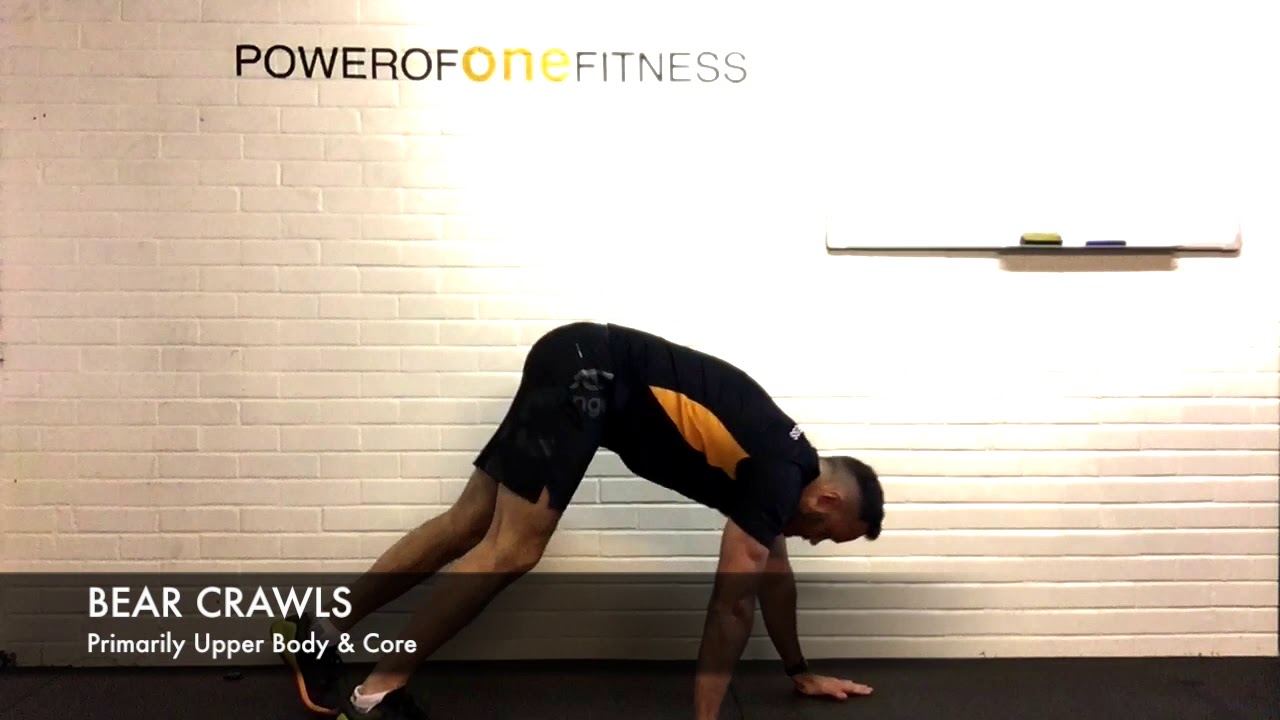 Bear Crawls - YouTube