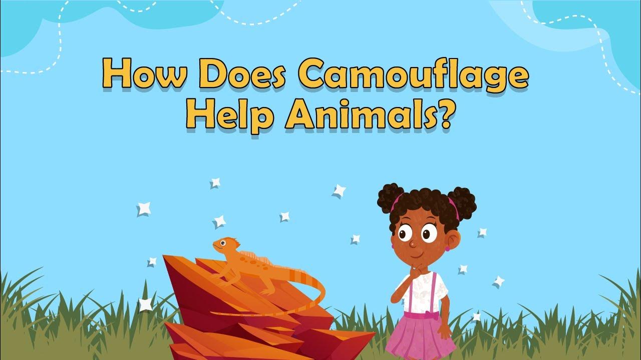 How Does Camouflage Help Animals? | Animal Facts | What is Camouflage ...