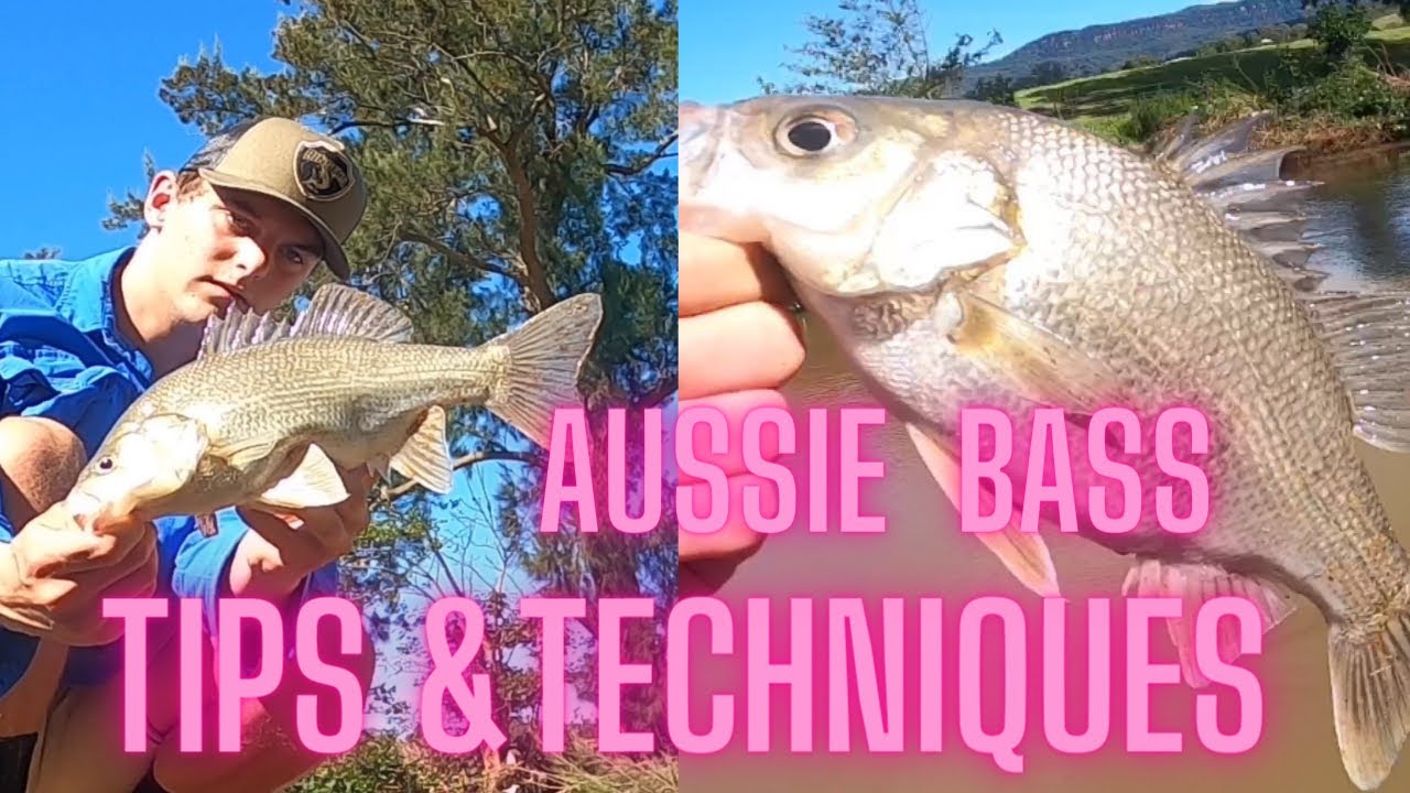 AUSSIE BASS IN FLOODED RIVER - YouTube