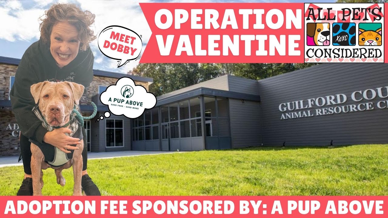 Operation Valentine Day 3 - YouTube