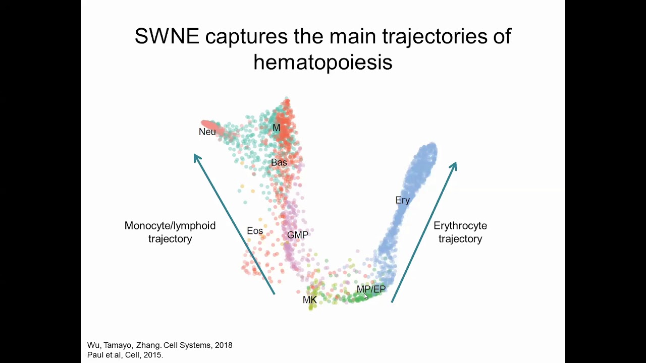 Single-cell webinar: Similarity Weighted Nonnegative Embedding (SWNE ...