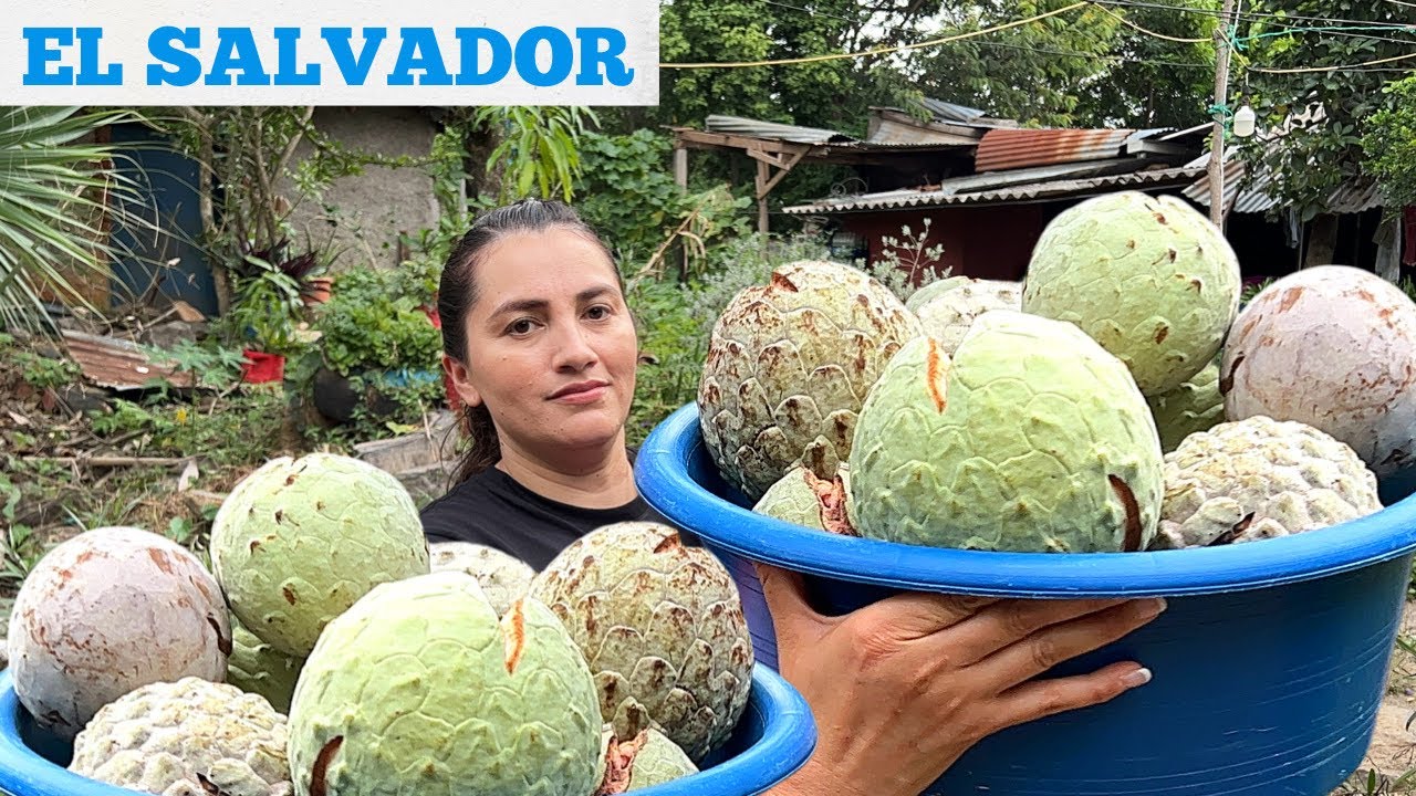 Vendiendo anonas en El Salvador - $5.00 C/U 💰😱 - YouTube