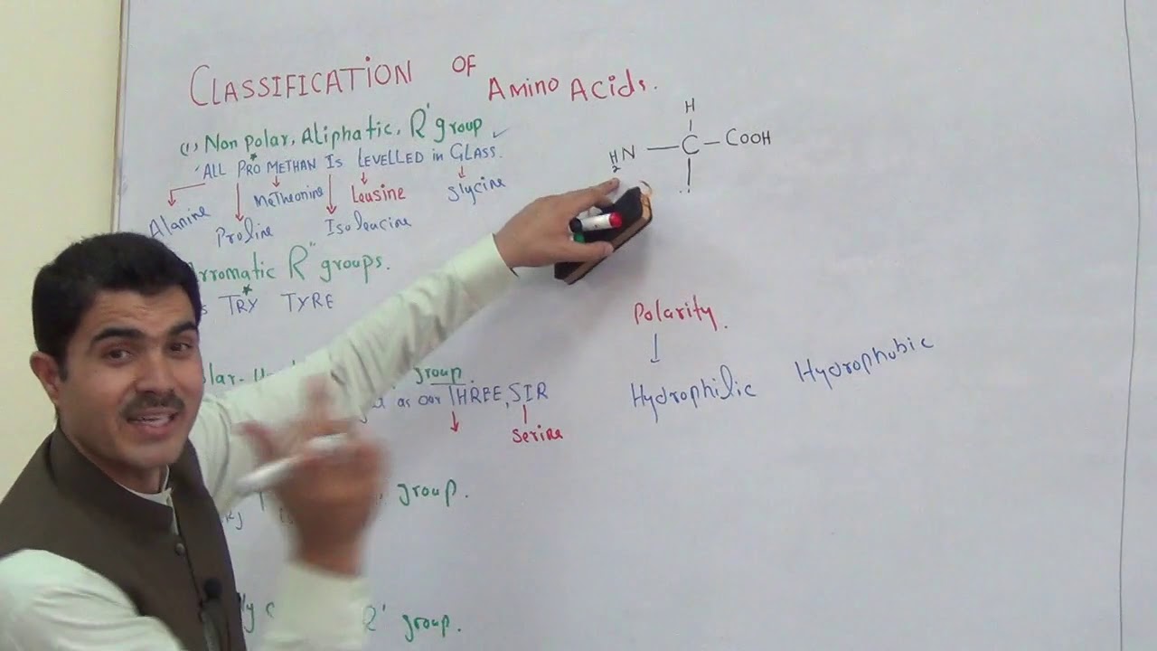 Classification of amino acids on the basis of R group and their ...