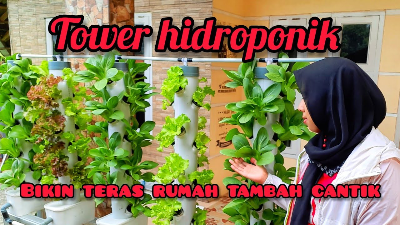 DIY Cara pembuatan tower hidroponik vertikultur - YouTube