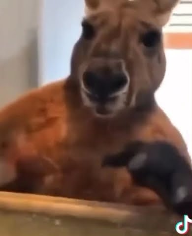Maaaaa 🤣🤣🤣 - YouTube