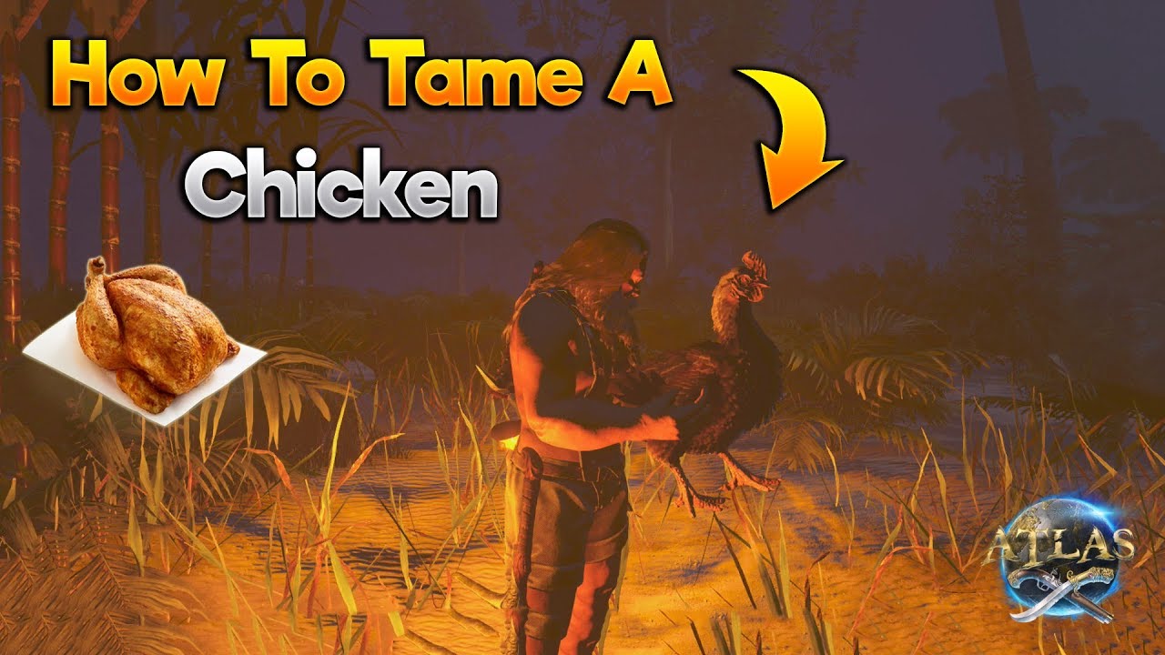 ATLAS: HOW TO TAME A CHICKEN! (Easy Tutorial) - YouTube