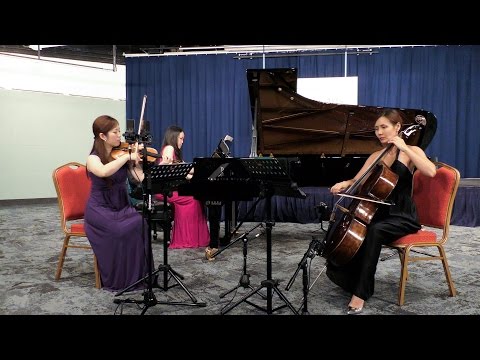 Clara Schumann Trio in G minor Op. 17 - III. Andante