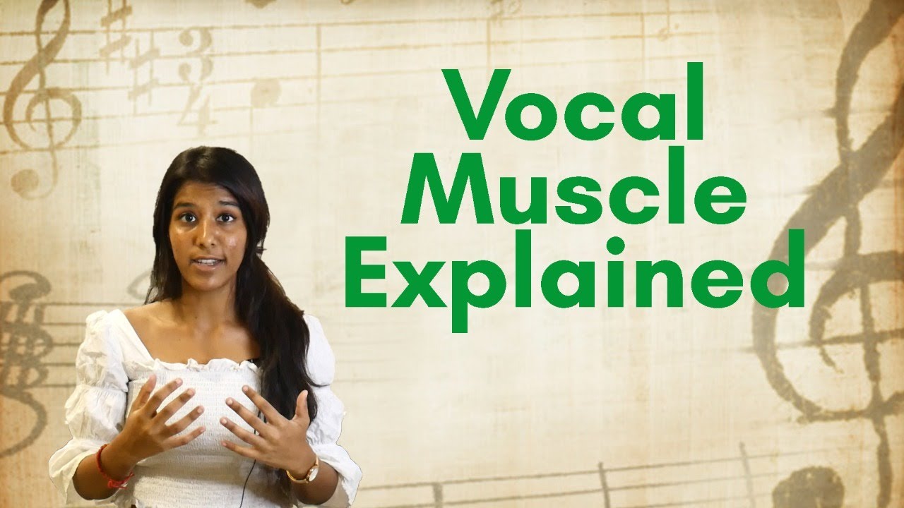 VOCAL MUSCLE EXPLAINED