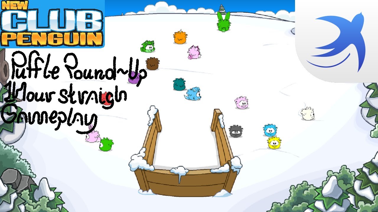 Puffle Round-Up 1 hour straight gameplay • New Club Penguin(CPPS). - YouTube
