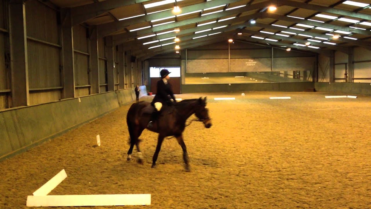 Prelim 18 Dressage test on Bishop Gale Force AKA Gusty ;) - YouTube