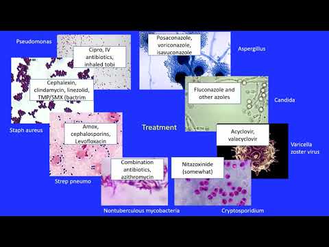 Antibiotics & Primary Immunodeficiency