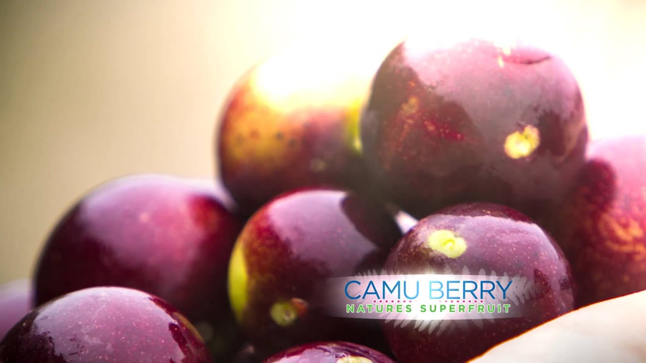 Amacari Camu Camu - YouTube