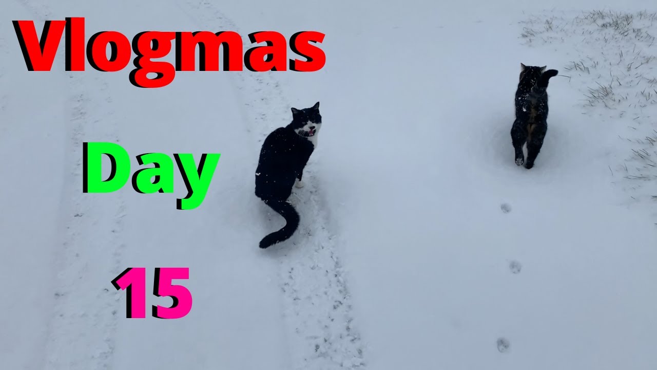 Vlogmas day 15 - YouTube