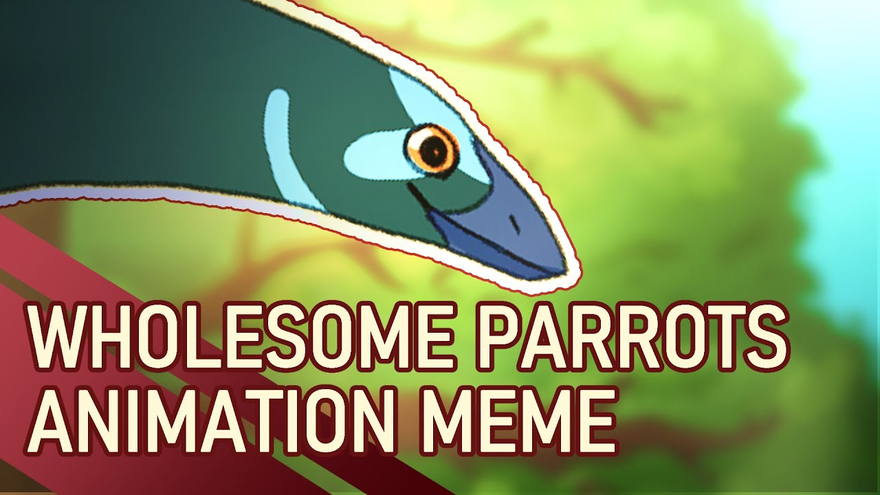 Wholesome Parrots Dancing // Animation Meme - YouTube